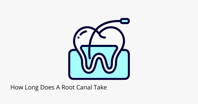 How Long Does A Root Canal Take? Average Time per Visit - Share Dental Care